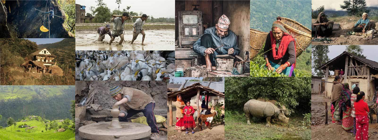 Nepal Policy Institute